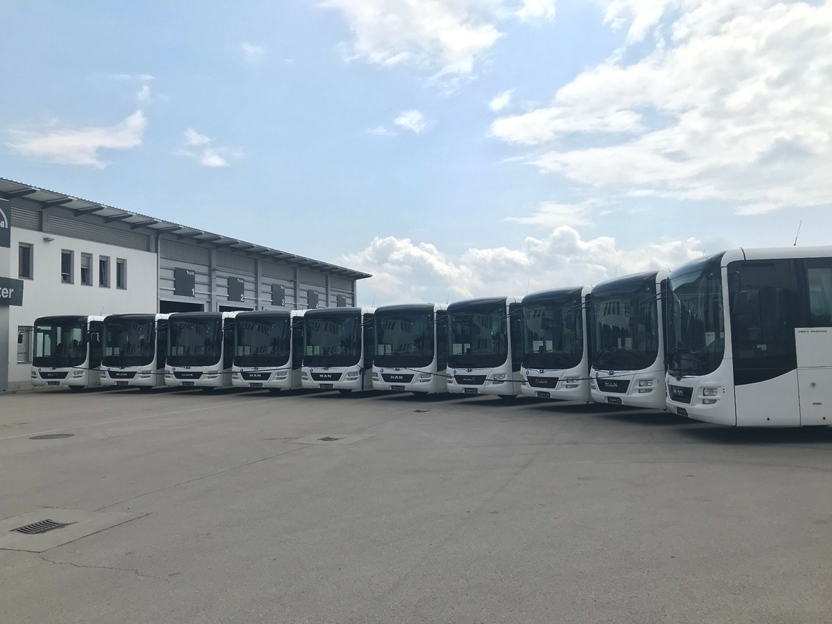 Deset novih avtobusov za Nomago | Transport in logistika