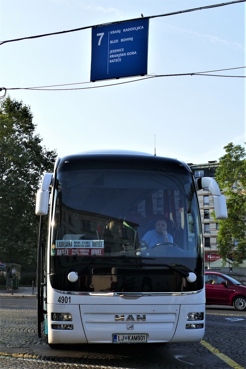 V avtobusu sem jaz šef / Martin Skušek | Transport in logistika