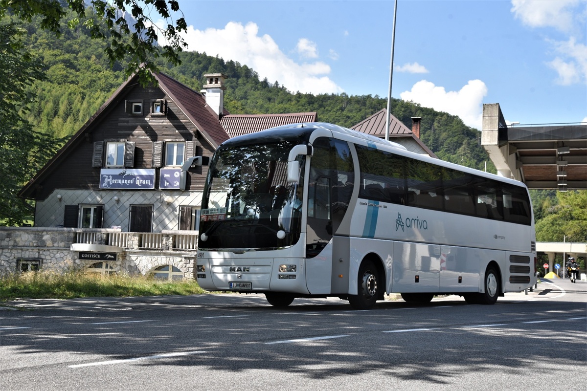 V avtobusu sem jaz šef / Martin Skušek | Transport in logistika