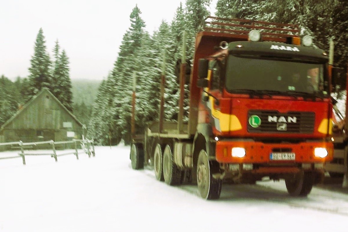 Darjan Karat: Vsak tovor hlodov je nov izziv | Transport in logistika